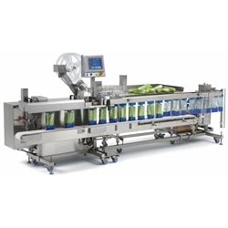Automated Bagging Machine – Bagging Systems | PackSmart