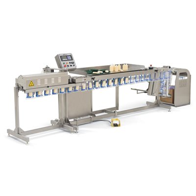 Automated Bagging Machine – Bagging Systems | PackSmart
